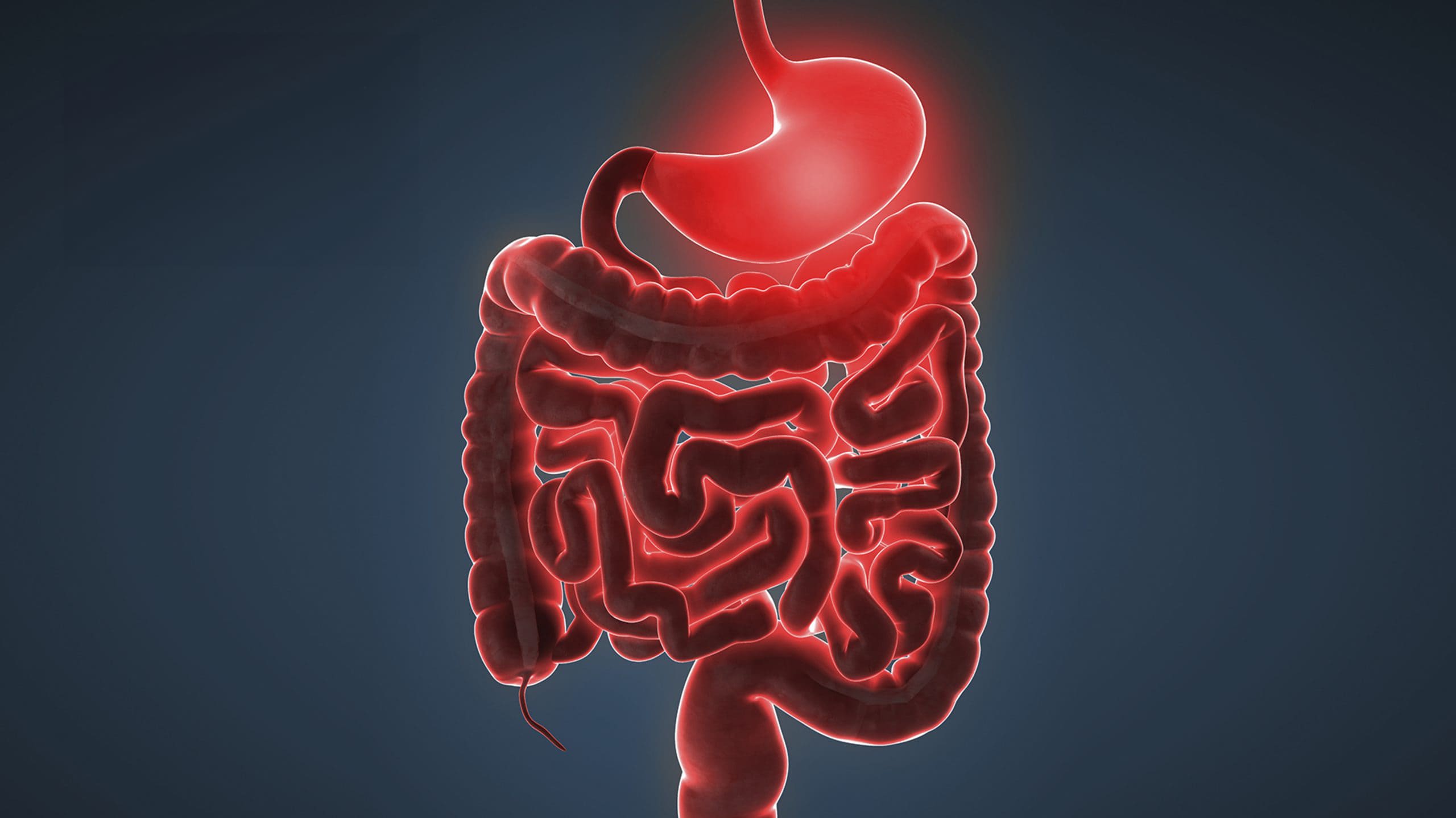 Gastroenterite Viral Aguda em Adultos - Projeto Educa Dor